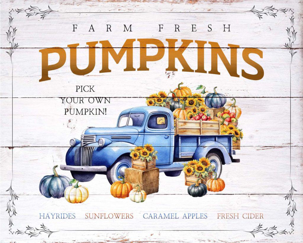 Business Yard Signs - Calvert Yard Cards Store